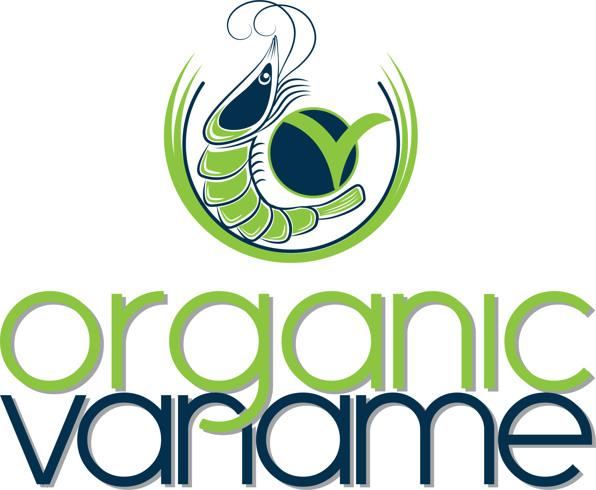 PT Organic Vaname Indonesia – Usaha budidaya tambak udang vaname ...